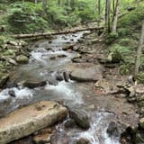 Roaring Run Trail, Virginia - 861 Reviews, Map | AllTrails