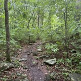 Sandstone Falls Boardwalk and Island Loop Trail, West Virginia - 663 ...