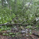 Sandstone Falls Boardwalk and Island Loop Trail, West Virginia - 663 ...