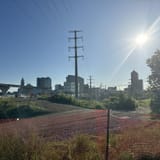 Scioto Trail Loop, Ohio - 569 Reviews, Map | AllTrails