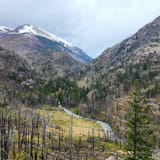 Cub Lake Loop, Colorado - 2,167 Reviews, Map | AllTrails