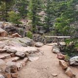 Cub Lake Loop, Colorado - 2,093 Reviews, Map | AllTrails