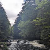 Hawk Falls Trail, Pennsylvania - 2,950 Reviews, Map | AllTrails