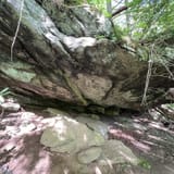 Peg Leg Mine Trail, Tennessee - 165 Reviews, Map | AllTrails