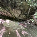 Peg Leg Mine Trail, Tennessee - 165 Reviews, Map | AllTrails