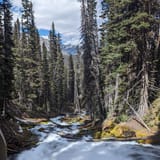 Karst Spring Trail, Alberta, Canada - 913 Reviews, Map | AllTrails