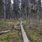 Karst Spring Trail, Alberta, Canada - 913 Reviews, Map | AllTrails