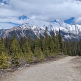 Karst Spring Trail, Alberta, Canada - 913 Reviews, Map | AllTrails