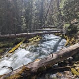 Karst Spring Trail, Alberta, Canada - 913 Reviews, Map | AllTrails