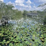 Anhinga Trail, Florida - 1,841 Reviews, Map | AllTrails