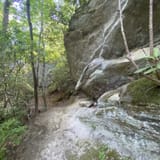 Raven Rock Loop Trail, South Carolina - 2,380 Reviews, Map | AllTrails