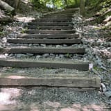 Whirlpool Trail, Ontario, Canada - 670 Reviews, Map | AllTrails