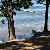 Little Gap Trail, South Carolina - 686 Reviews, Map | AllTrails