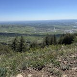 Mount Morrison Trail, Colorado - 5,855 Reviews, Map | AllTrails