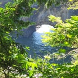Natural Bridges Viewpoint Trail, Oregon - 765 Reviews, Map | AllTrails