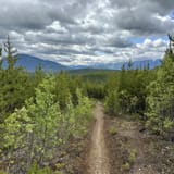 Apgar Lookout, Montana - 1,735 Reviews, Map | AllTrails