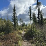 Apgar Lookout, Montana - 1,735 Reviews, Map | AllTrails