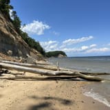 Calvert Cliffs Red Trail, Maryland - 1,674 Reviews, Map | AllTrails