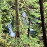 Murhut Falls Trail, Washington - 981 Reviews, Map | AllTrails