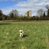 Donnington Castle and Snelsmore Common Circular, Berkshire, England ...