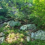 Mount Tammany via Red Dot and Blue Dot Loop Trail, New Jersey - 13,525 ...