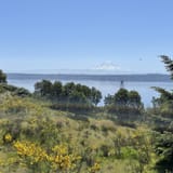 Pinnacle Peak Loop, Washington - 3,464 Reviews, Map | AllTrails