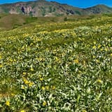 Mount Van Cott, Utah - 506 Reviews, Map | AllTrails