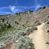 Hunter Creek Trail, Nevada - 4,578 Reviews, Map | AllTrails