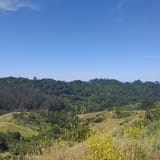 Round Top, Volcanic and Skyline Loop, California - 3,011 Reviews, Map ...