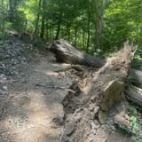 Coral Ridge Loop, Kentucky - 861 Reviews, Map | AllTrails