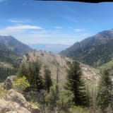 Lower Mill B North Fork Trail, Utah - 1,664 Reviews, Map | AllTrails