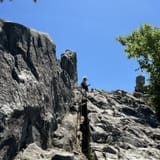 Seneca Rocks Trail, West Virginia - 2,974 Reviews, Map | AllTrails