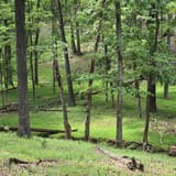White Bison Loop, Missouri - 2,481 Reviews, Map | AllTrails