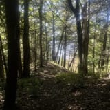 Abraham Lincoln Park White Trail, New York - 1,615 Reviews, Map | AllTrails