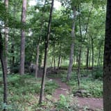 Johnny Reb Trail, Pennsylvania - 535 Reviews, Map | AllTrails