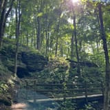 Harpeth Woods Trail, Tennessee - 2,675 Reviews, Map | AllTrails