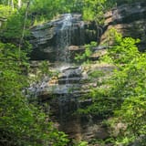 Hidden Falls Trail, South Carolina - 721 Reviews, Map | AllTrails