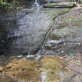 Hidden Falls Trail, South Carolina - 721 Reviews, Map | AllTrails