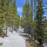 Keystone Gulch, Colorado - 275 Reviews, Map | AllTrails