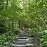 John Rock Trail Loop, North Carolina - 2,512 Reviews, Map | AllTrails