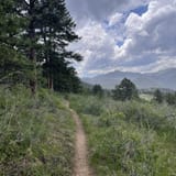 Beaver Brook Trail, Colorado - 1,509 Reviews, Map | AllTrails