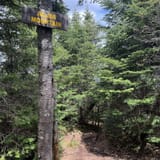 Allen Mountain Trail, New York - 1,180 Reviews, Map | AllTrails
