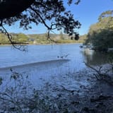 Waitangi to Haruru Falls Walk, Northland, New Zealand - 286 Reviews ...