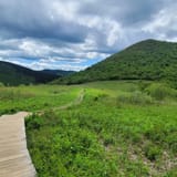 Sam Knob Trail, North Carolina - 1,477 Reviews, Map | AllTrails