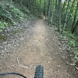 Fonta Flora Trail Loop, North Carolina - 1,771 Reviews, Map | AllTrails