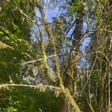 Washington Park Loop, Oregon - 1,685 Reviews, Map | AllTrails