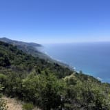 Tanbark Trail and Tin House Loop, California - 1,411 Reviews, Map ...