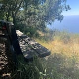 Tanbark Trail and Tin House Loop, California - 1,411 Reviews, Map ...