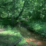 Bacon Ridge Trail: Phase 3, Maryland - 2,308 Reviews, Map | AllTrails