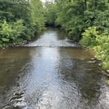 Cub Run Stream Valley Trail, Virginia - 430 Reviews, Map | AllTrails